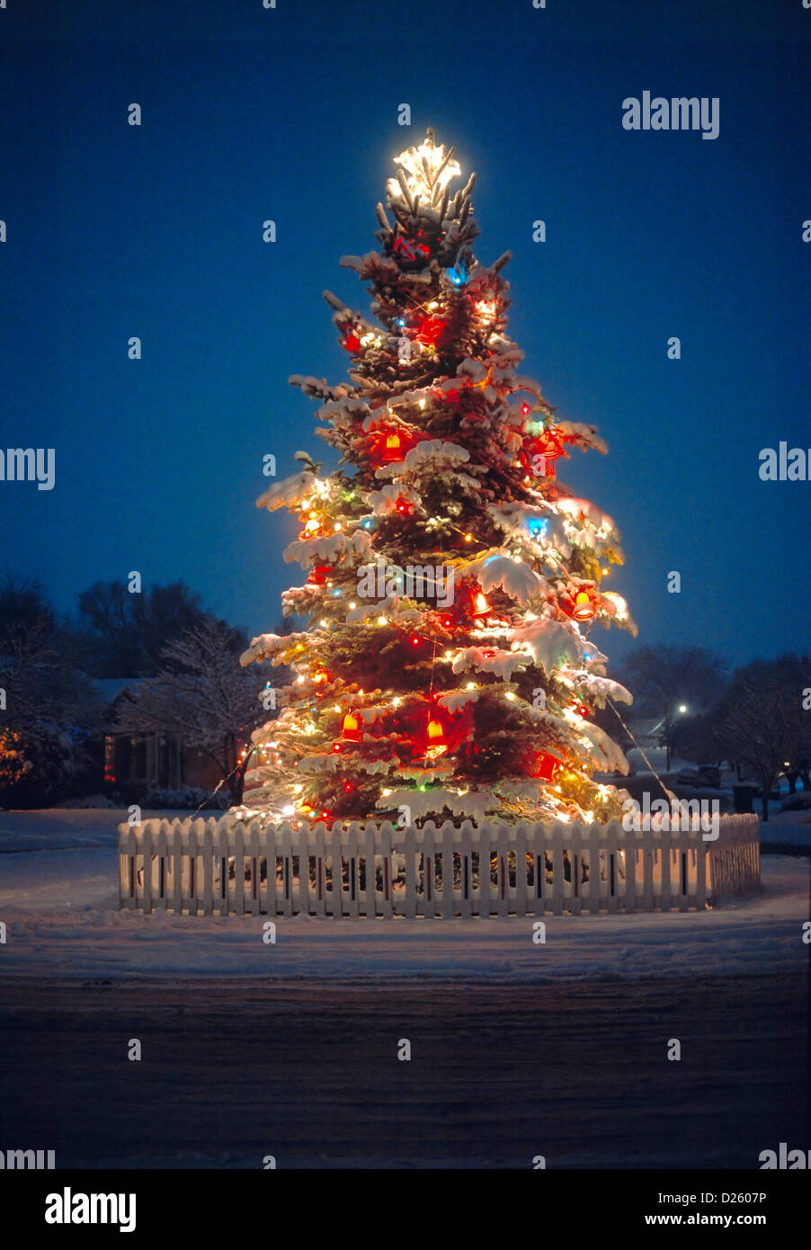 Outdoor Christmas Tree Stock Photo - Alamy
