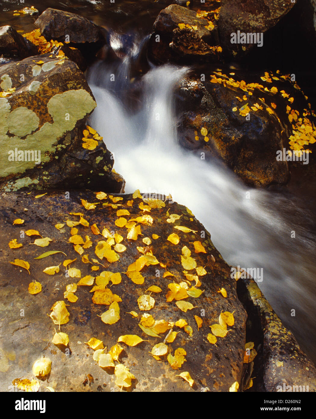 Aspen waterfall hi-res stock photography and images - Alamy