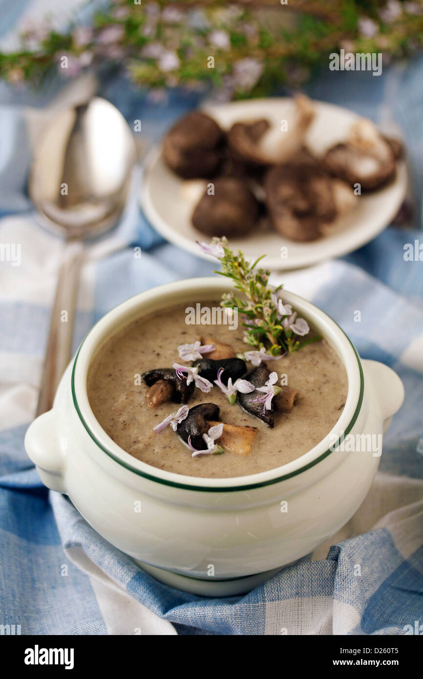 Gray agaric soup (Mushrooms soup Stock Photo - Alamy