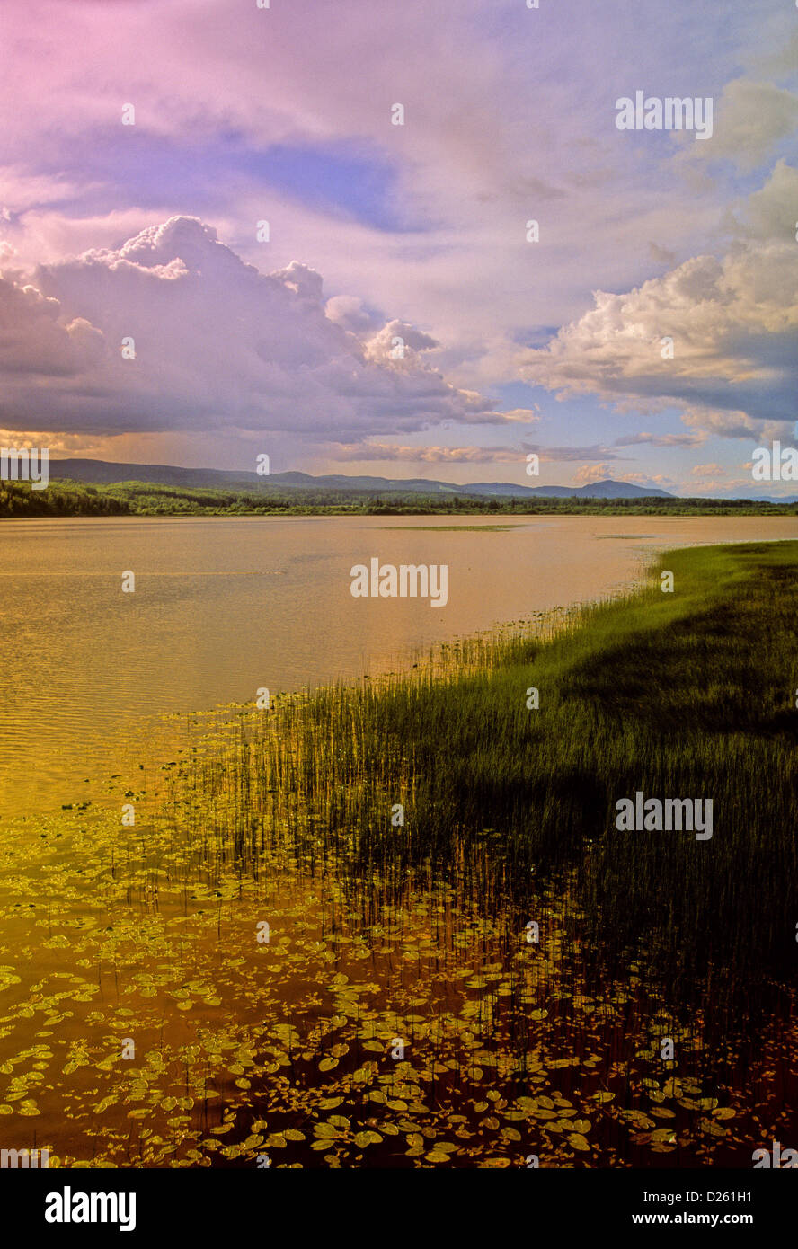 Burns lake canada hi-res stock photography and images - Alamy