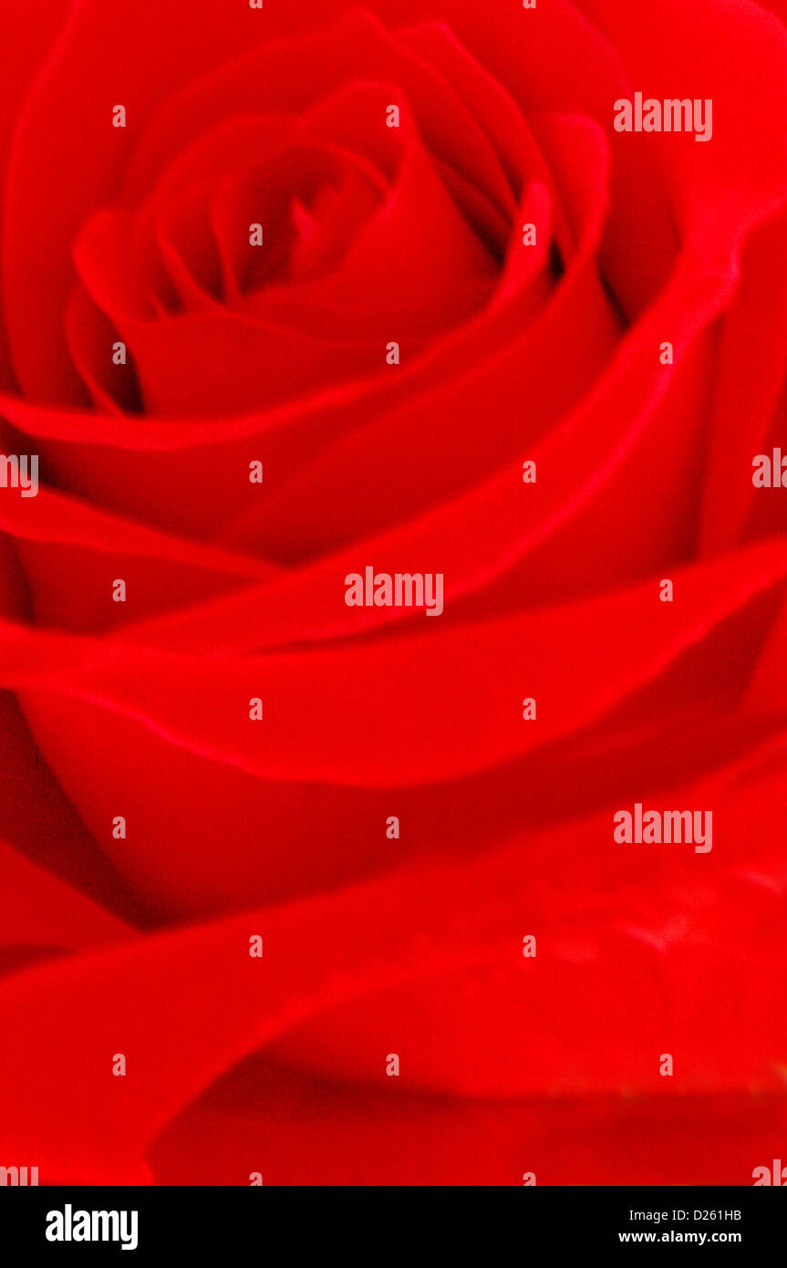 Red 9 hi-res stock photography and images - Alamy