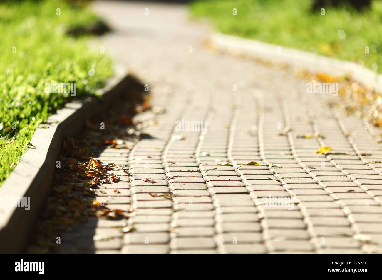 road in autumn park close up Stock Photo - Alamy