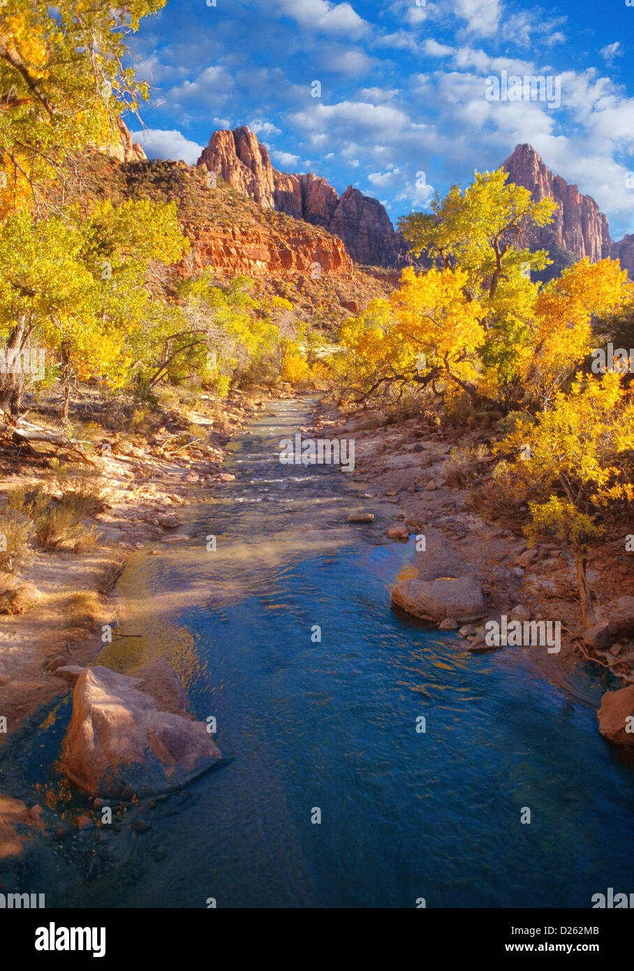 Autumn in Zion National Park Stock Photo - Alamy