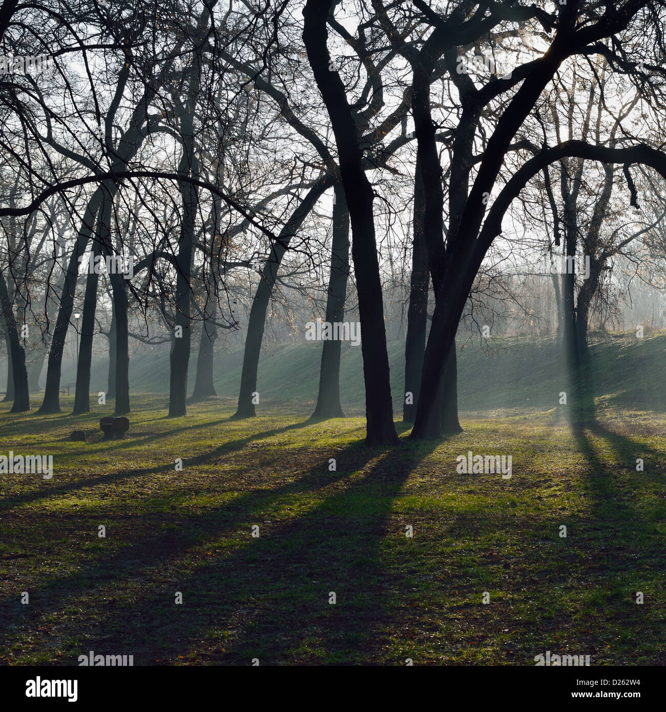 Early morning sun rays hi-res stock photography and images - Alamy