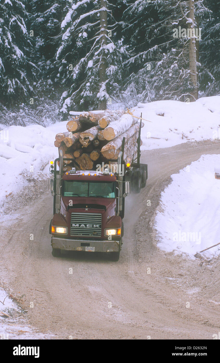 Loaded logging truck hi-res stock photography and images - Alamy