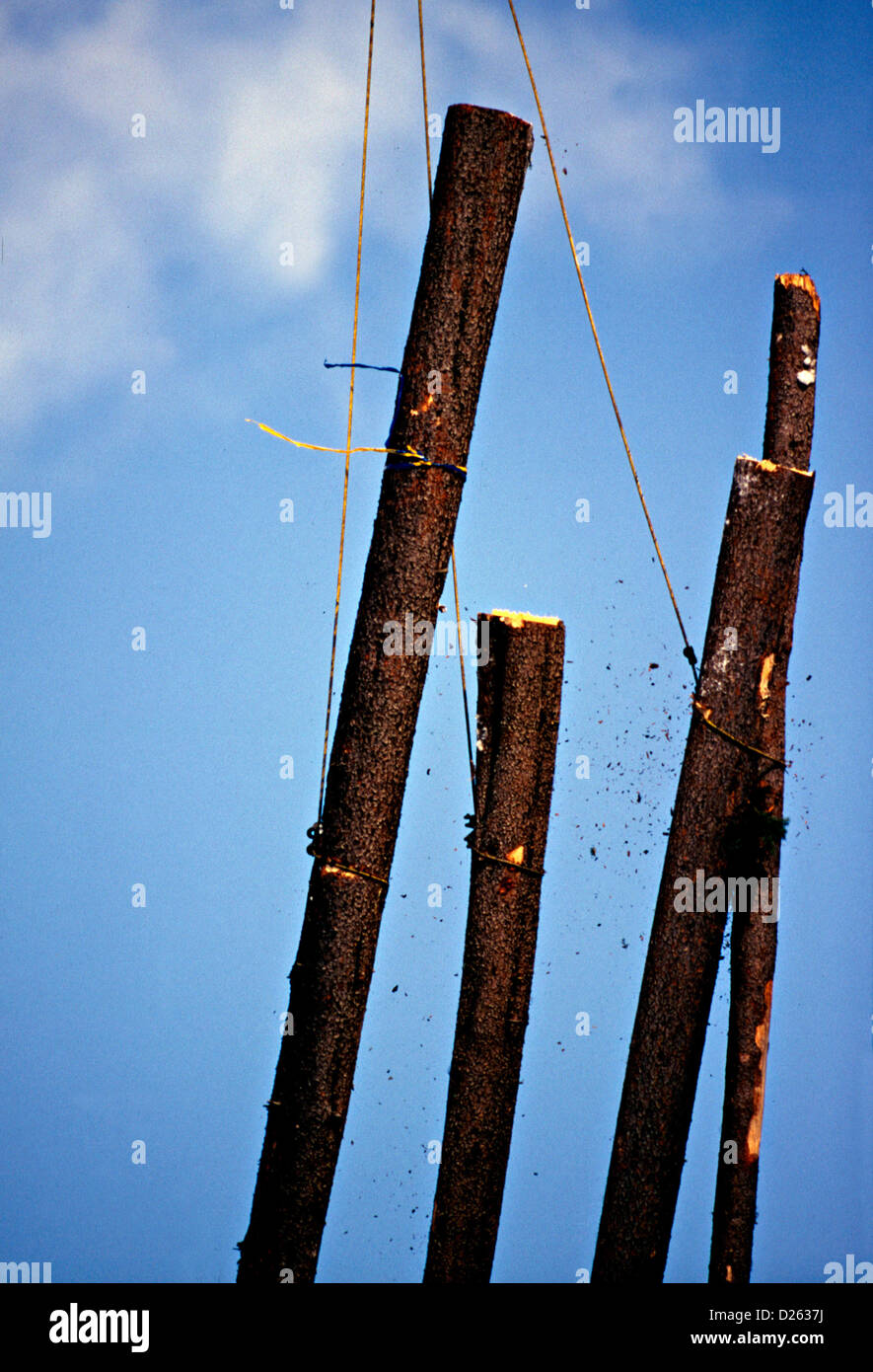 Helicopter logging hi-res stock photography and images - Alamy