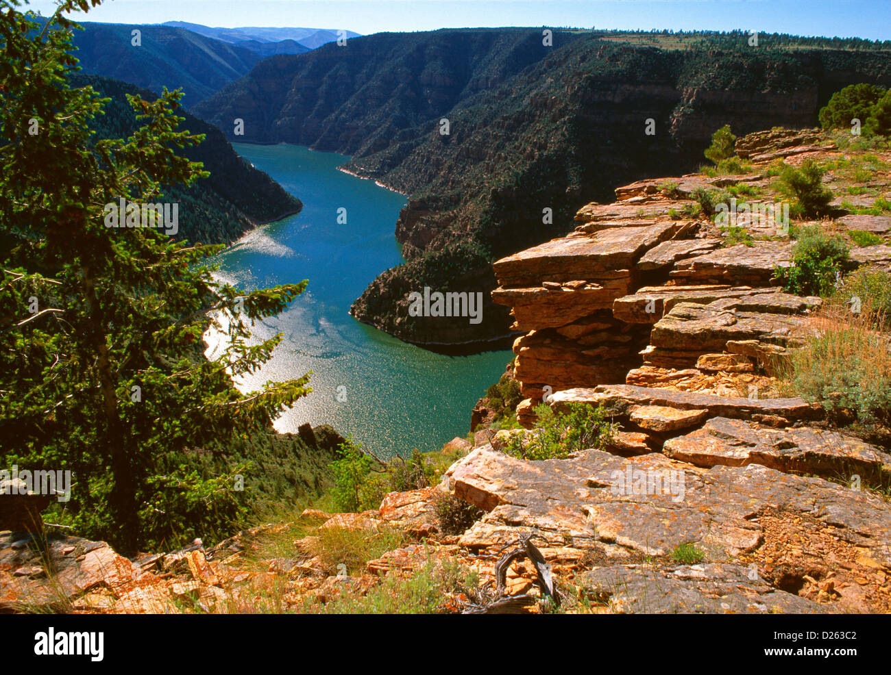 Red Canyon, Flaming Gorge, Utah Stock Photo - Alamy