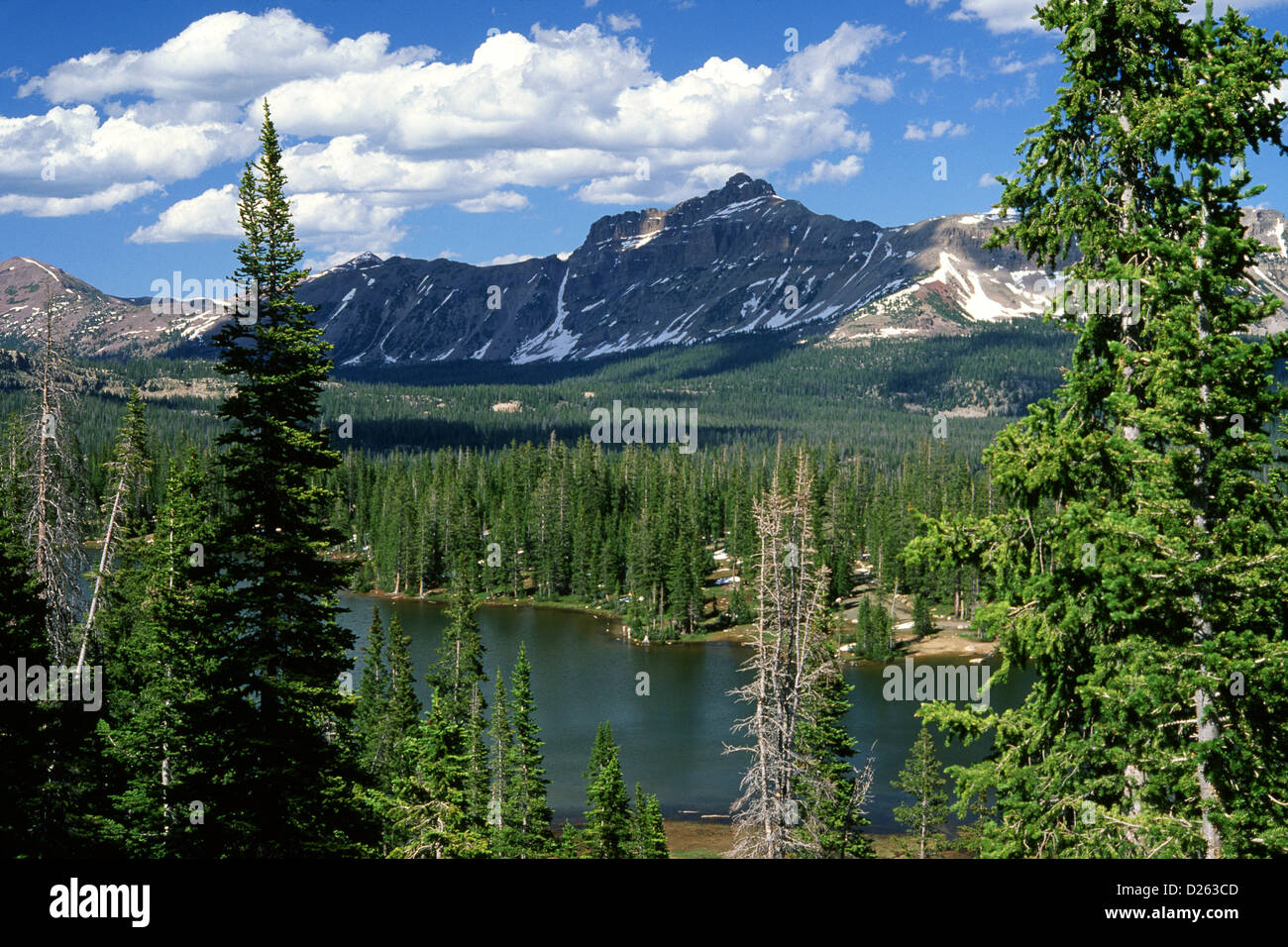 Hayden Peak, Uintah Mountains UT Stock Photo - Alamy