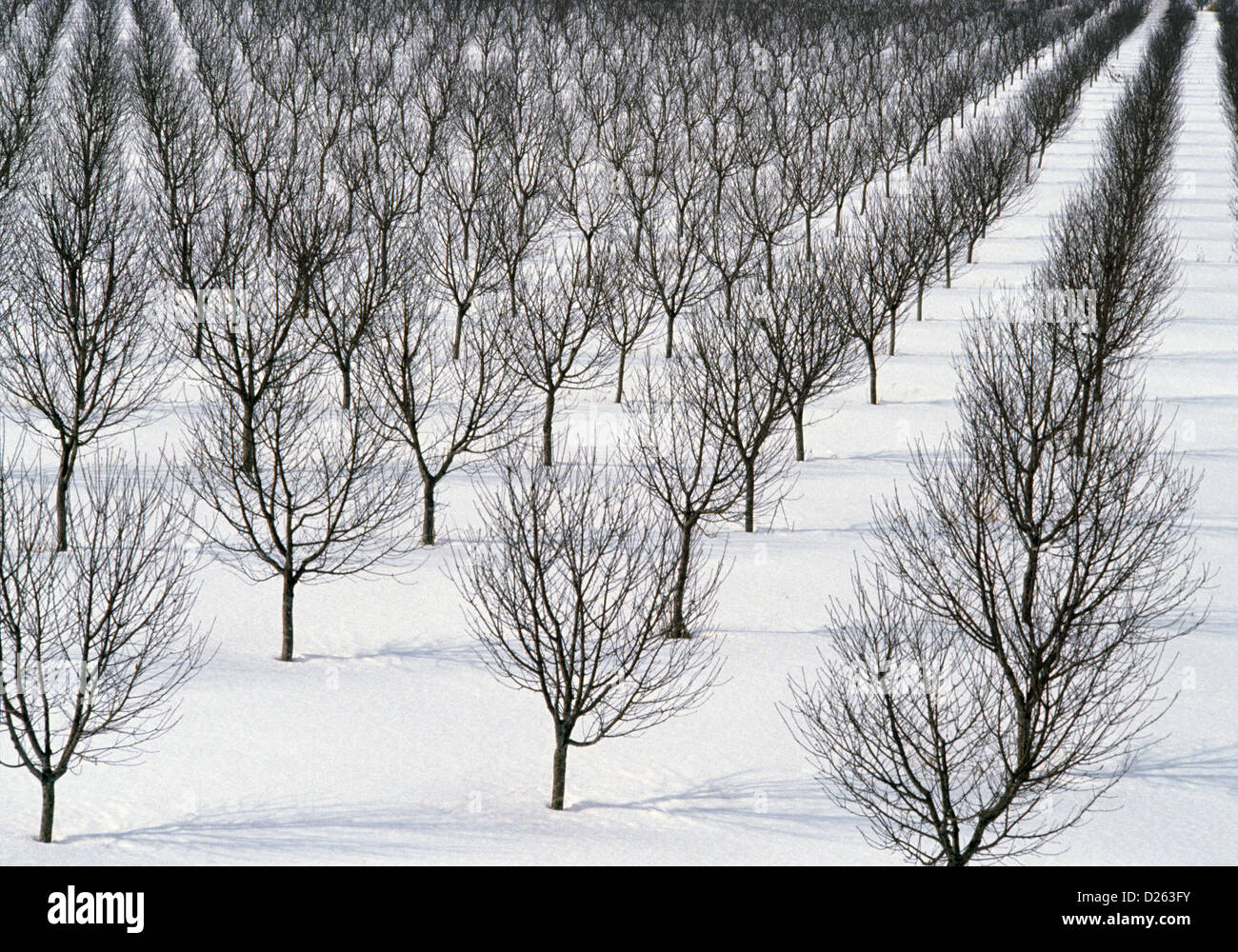 Repeating pattern patterns hi-res stock photography and images - Alamy