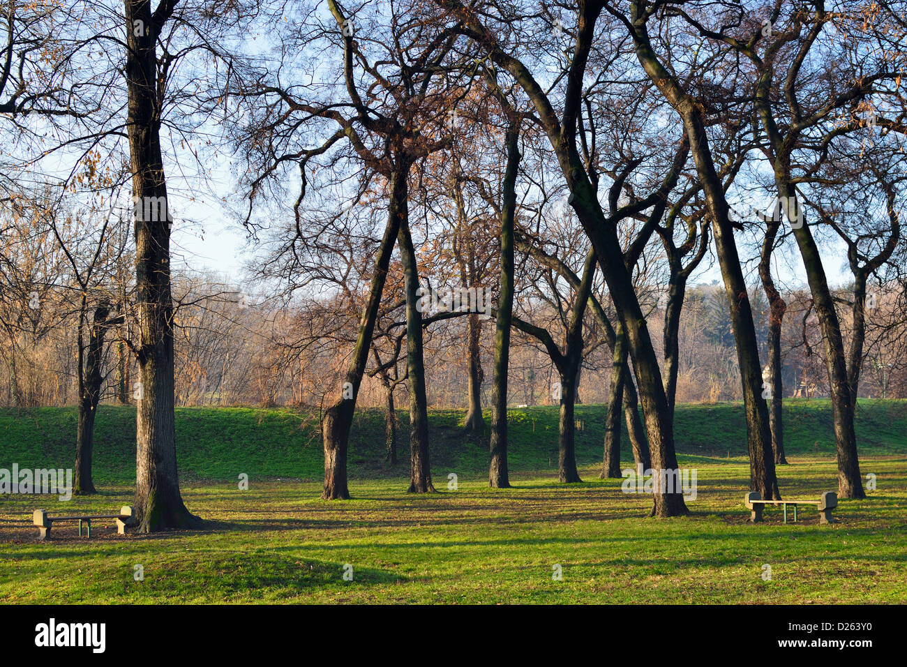 Early morning sun rays hi-res stock photography and images - Alamy