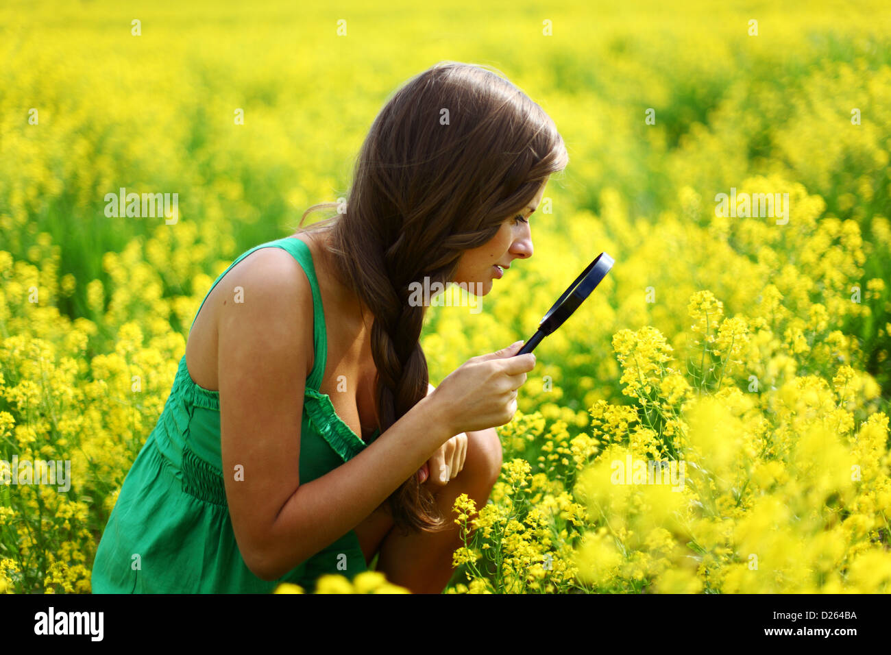botanist woman in yellow flower field Stock Photo - Alamy
