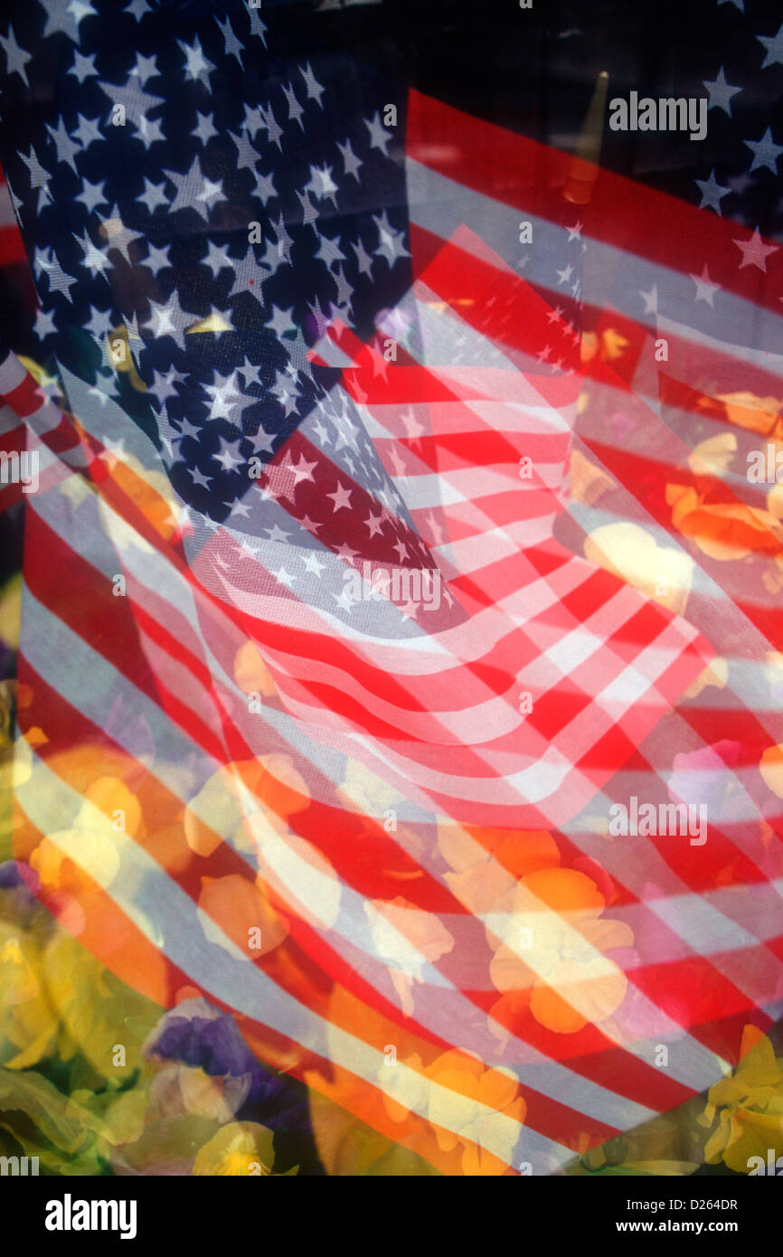 US flags in flower bed Stock Photo - Alamy