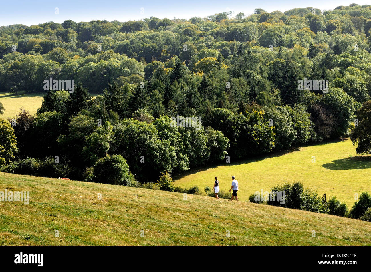 Surrey hills hi-res stock photography and images - Alamy