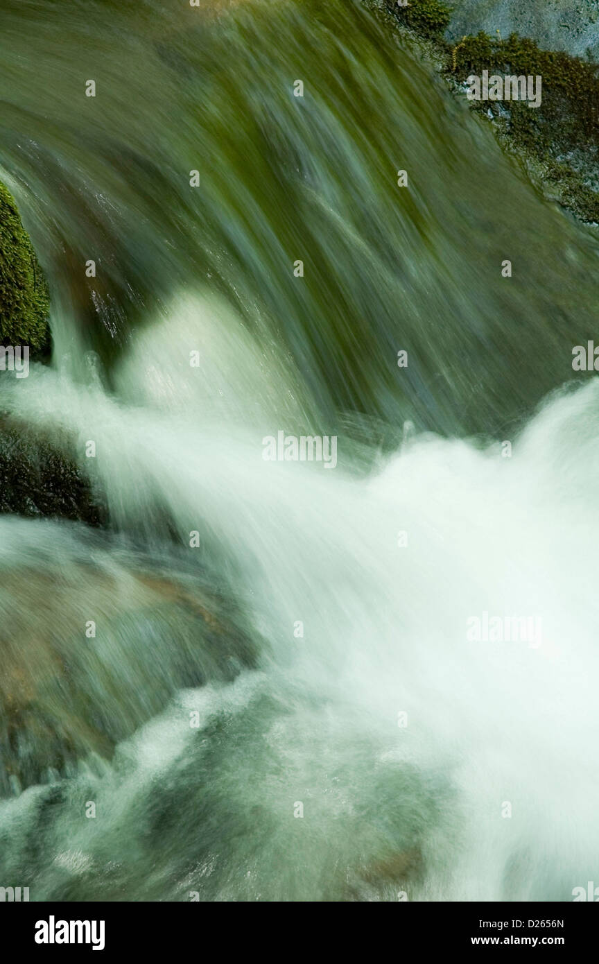 Medium shutter hi-res stock photography and images - Alamy