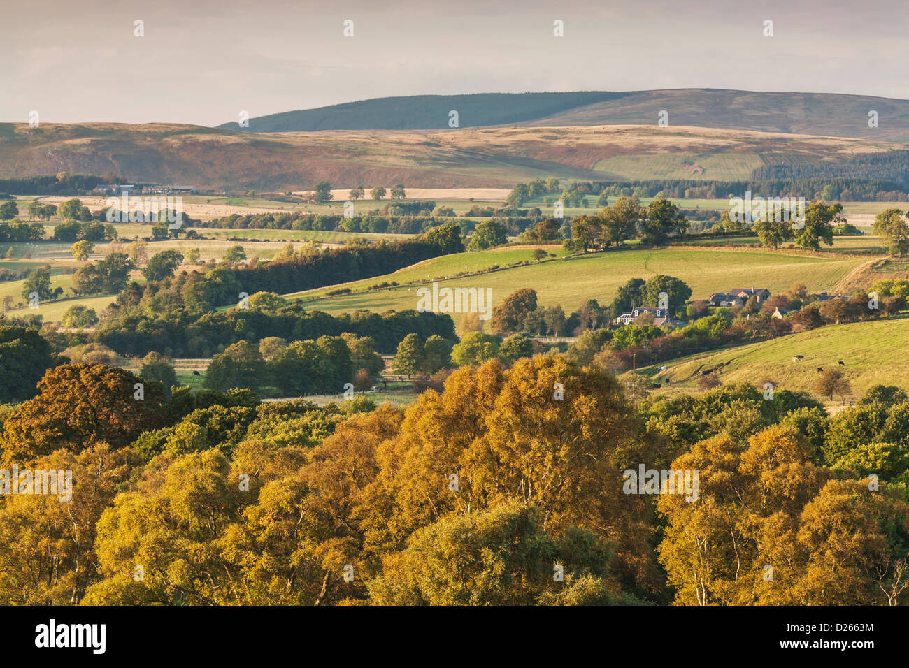 Sharperton hi-res stock photography and images - Alamy