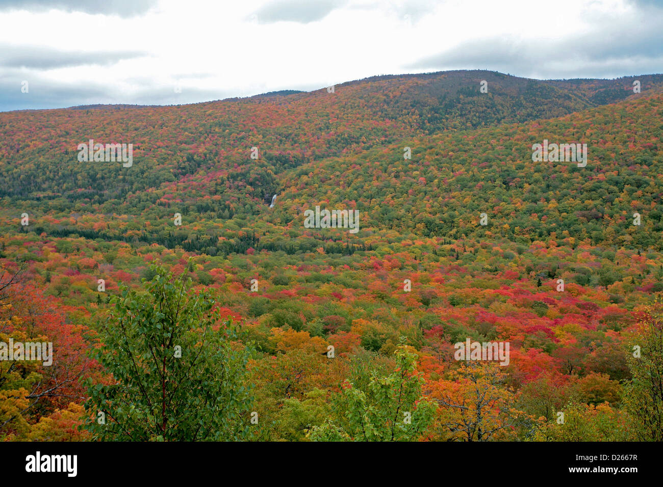 Fall colors at cape breton hi-res stock photography and images - Alamy