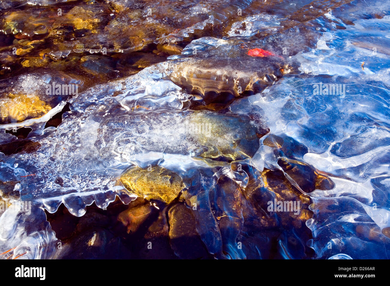 Ice frozen cold winter leaves river stream flow rocks hi-res stock ...