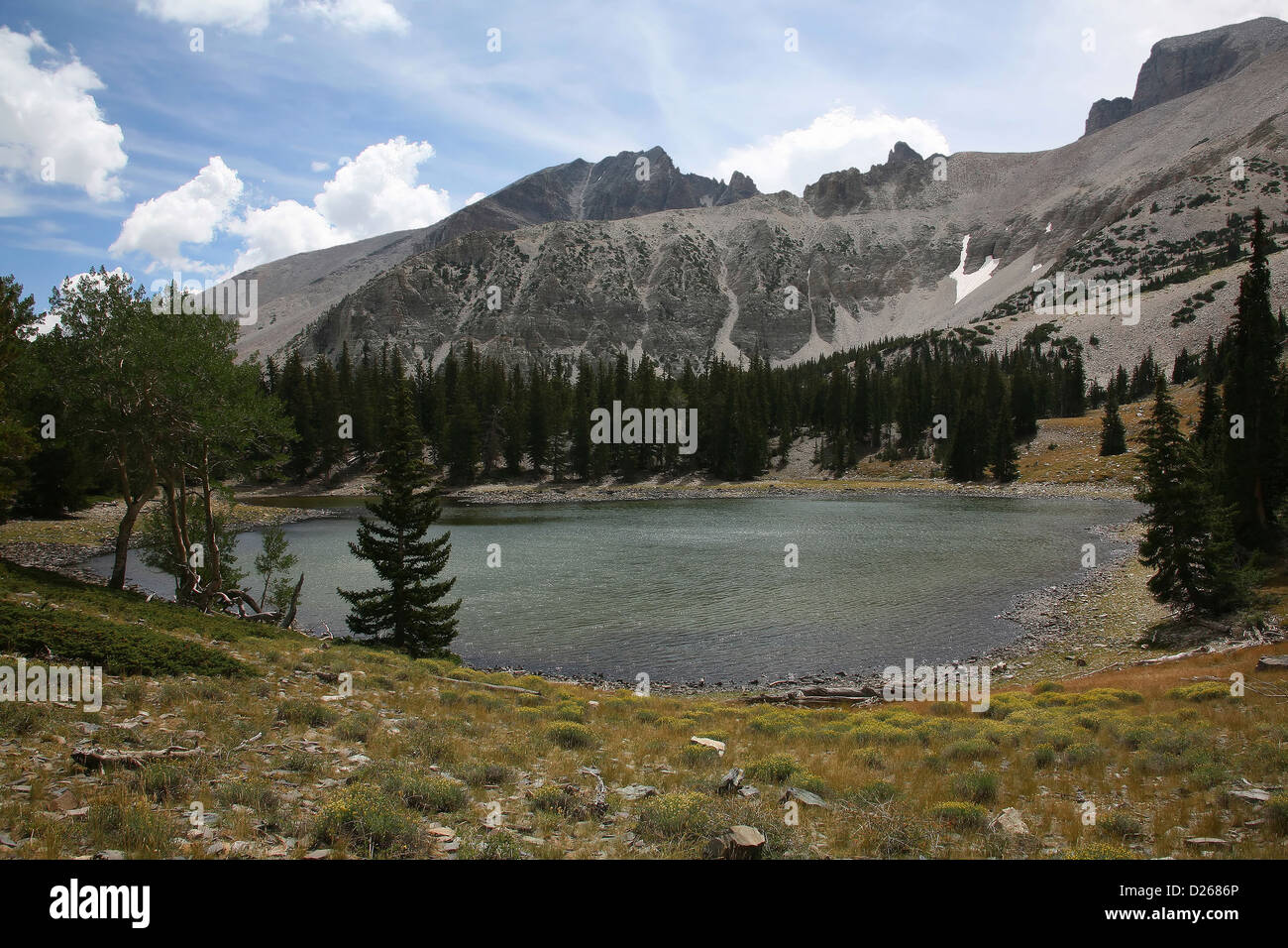 Alpine lake and meadow Stock Photo - Alamy