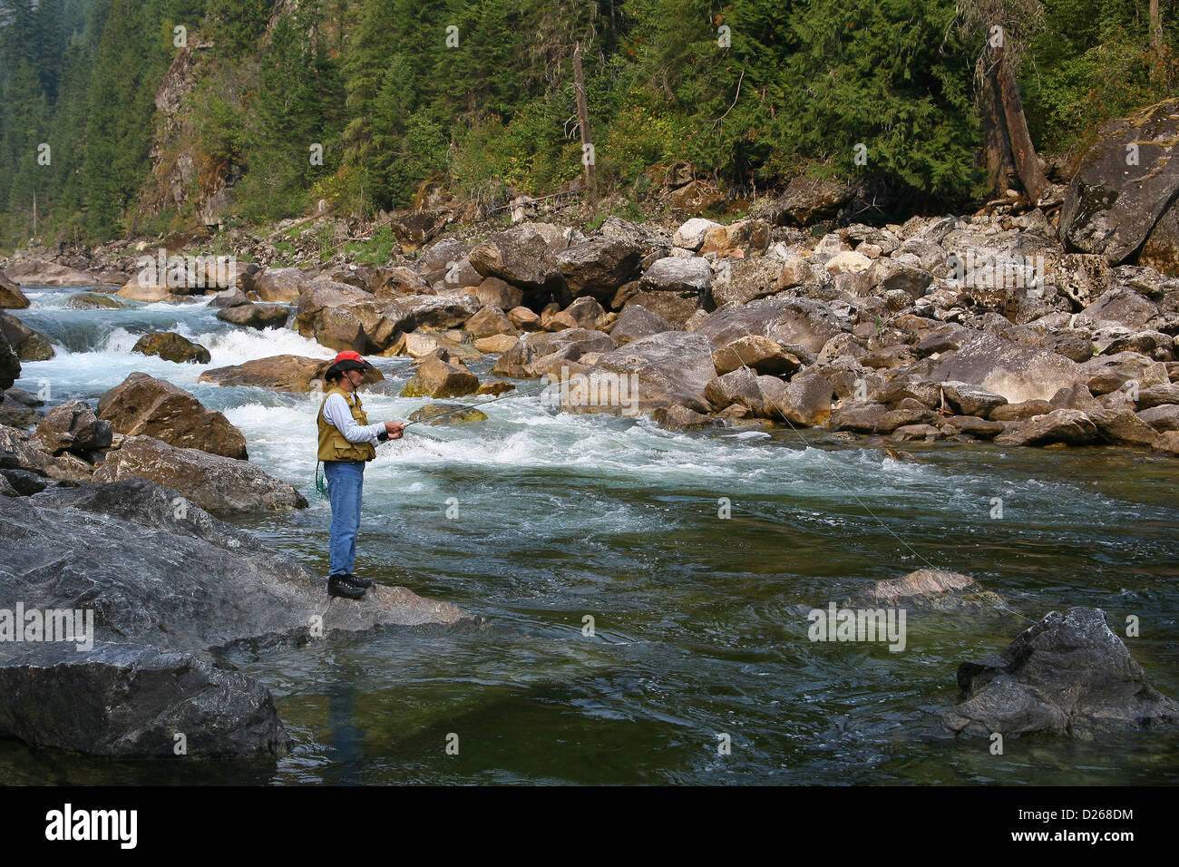 Lochsa River High Resolution Stock Photography and Images - Alamy