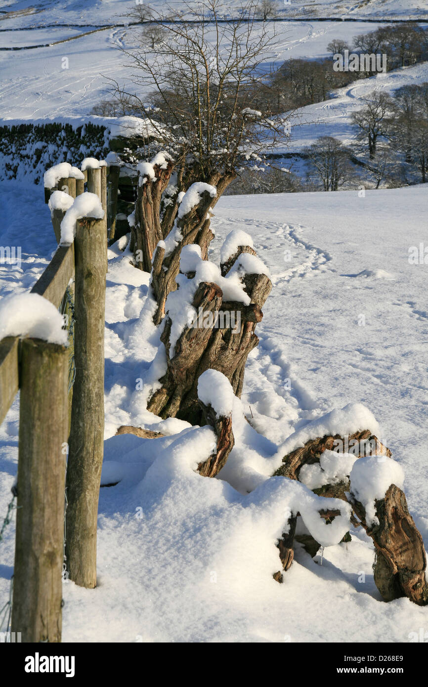 Frozen crust of snow hi-res stock photography and images - Alamy