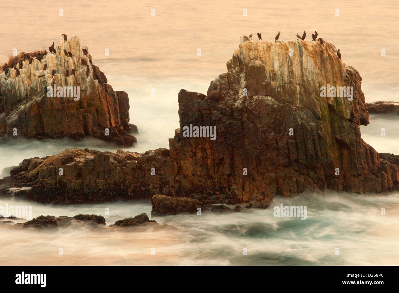 Rocks and Surf, California Coast Stock Photo - Alamy