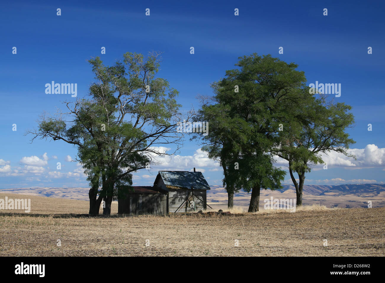 Old abandoned Idaho homestead Stock Photo - Alamy