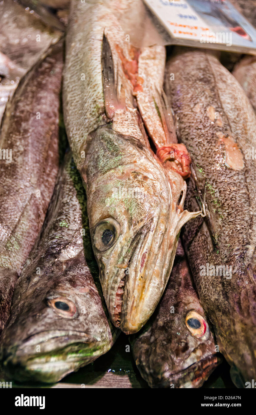 A lying fish at market in Cork, Ireland Stock Photo - Alamy