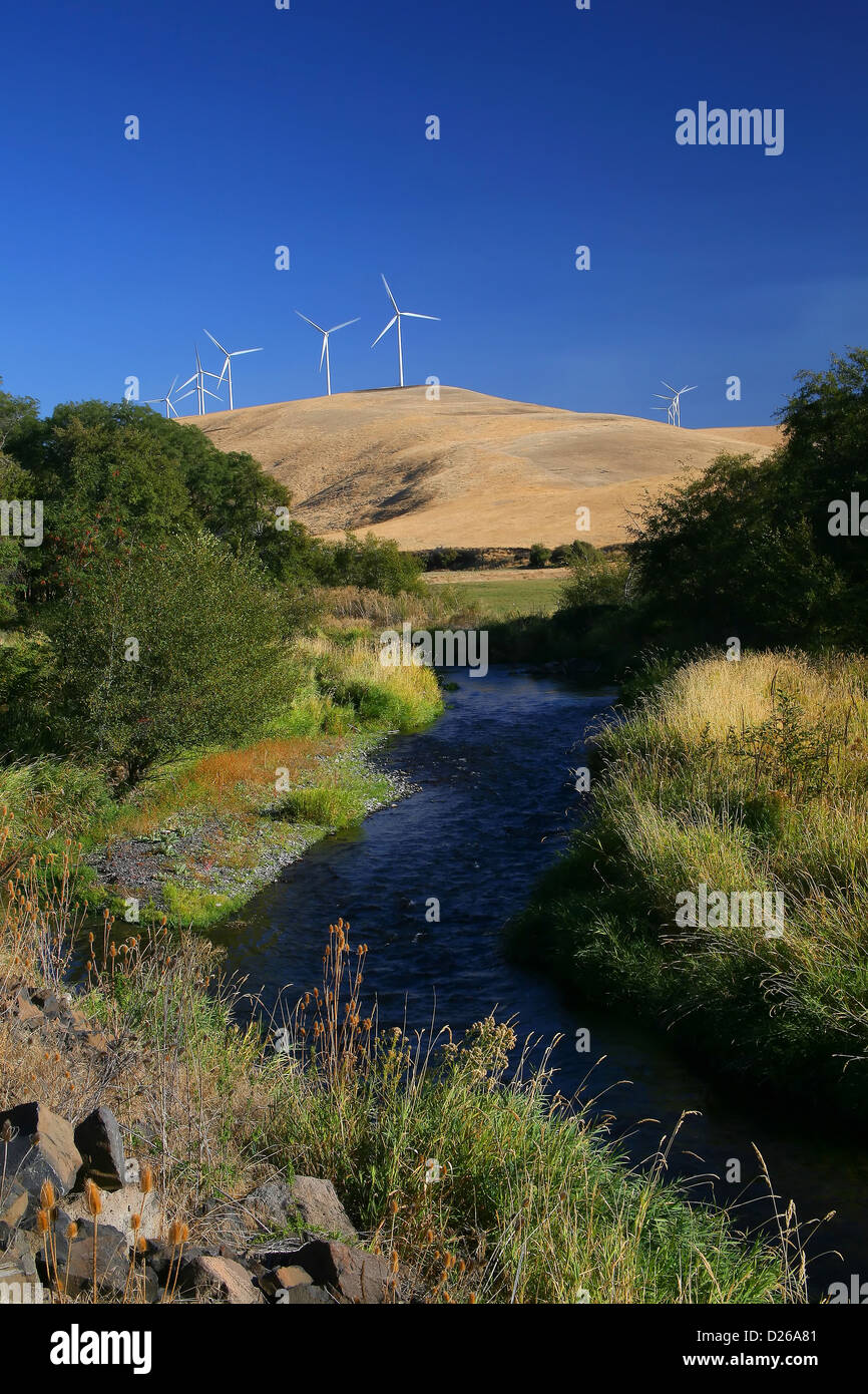 Tucannon river hi-res stock photography and images - Alamy