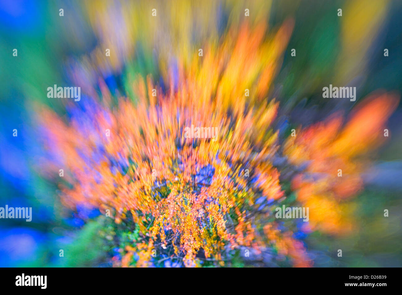Stock Photograph Of Fall Color Abst Stock Photo - Alamy