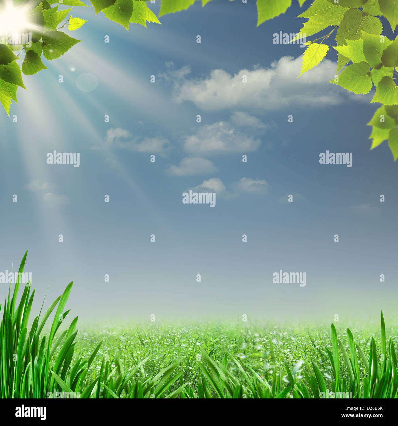 Misty summer noon. Abstract natural backgrounds for your design Stock ...