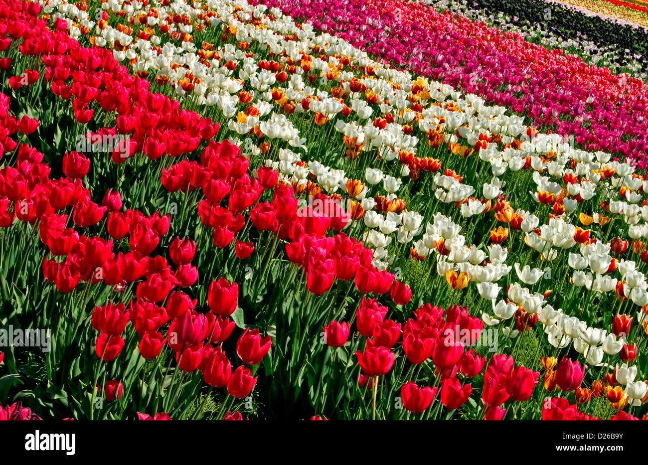 Photograph of a field hi-res stock photography and images - Alamy