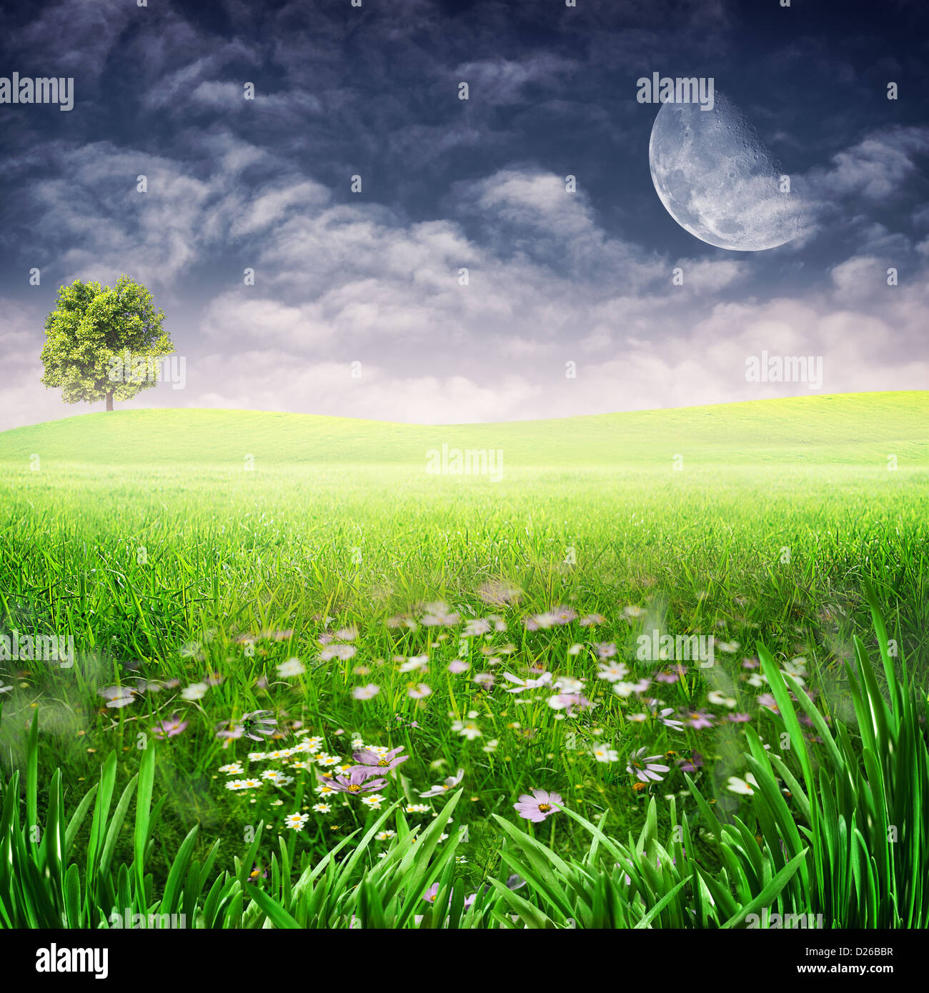 Beauty evening on the meadow. Abstract natural backgrounds for your ...