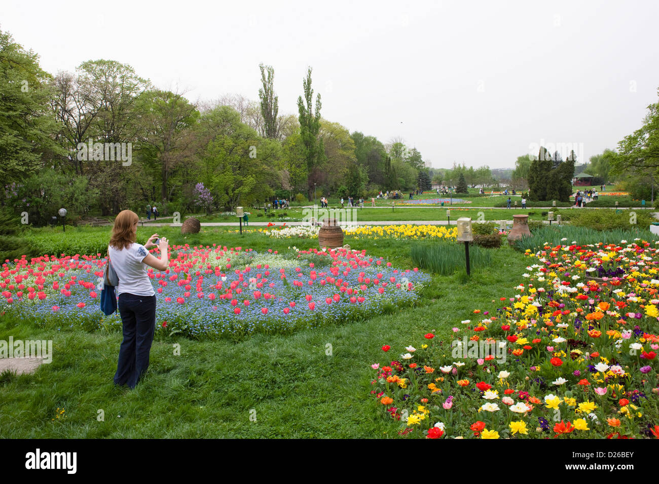 Spring in Herastrau Park in the city center of Bucharest, Romania Stock ...