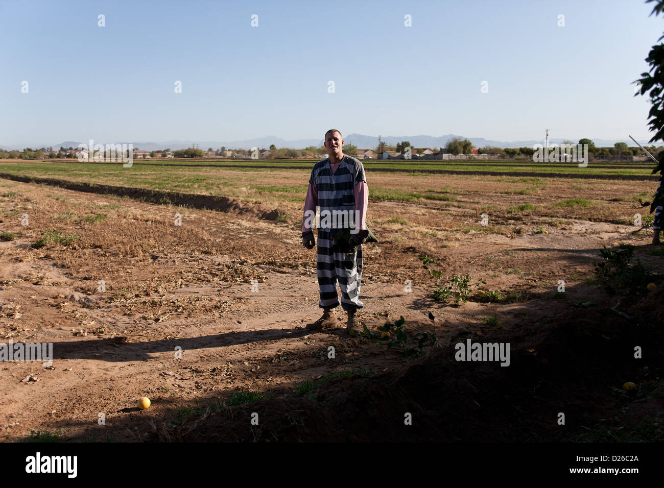 The chain gang at Maricopa County Jail in Phoenix Arizona Stock Photo ...