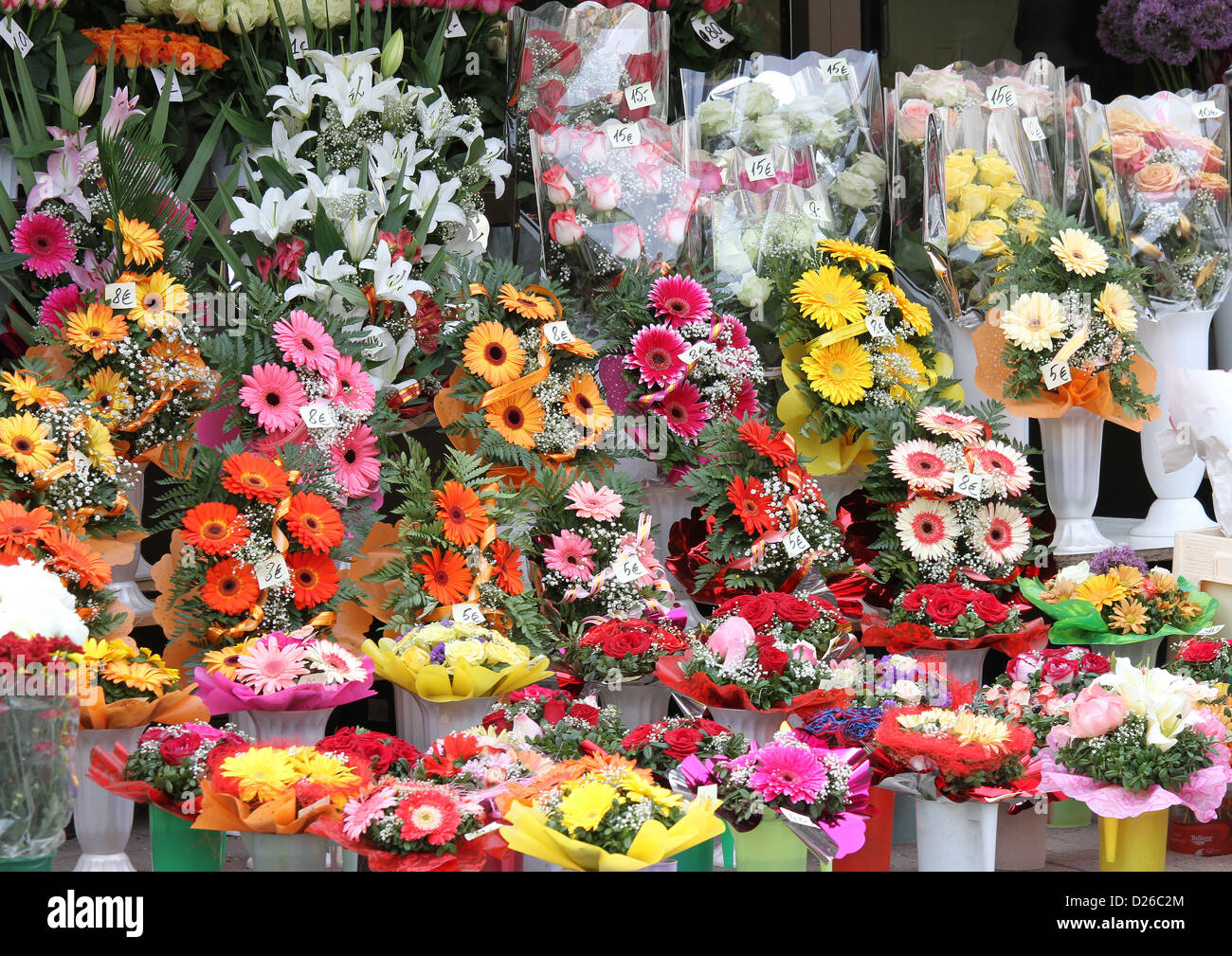 Tallinn flower hi-res stock photography and images - Alamy