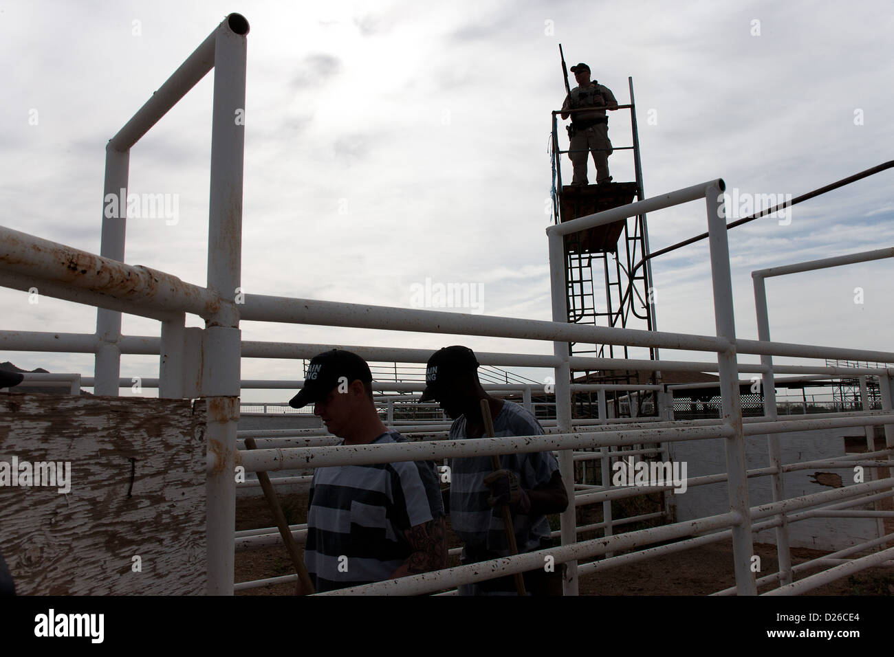 The chain gang at Maricopa County Jail in Phoenix Arizona Stock Photo ...