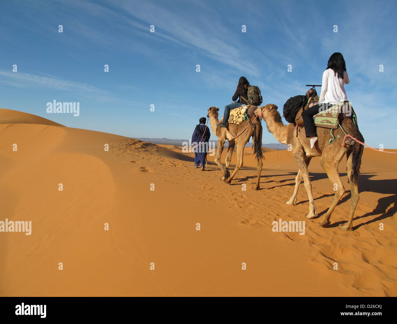 Camel trek in the sahara Stock Photo - Alamy