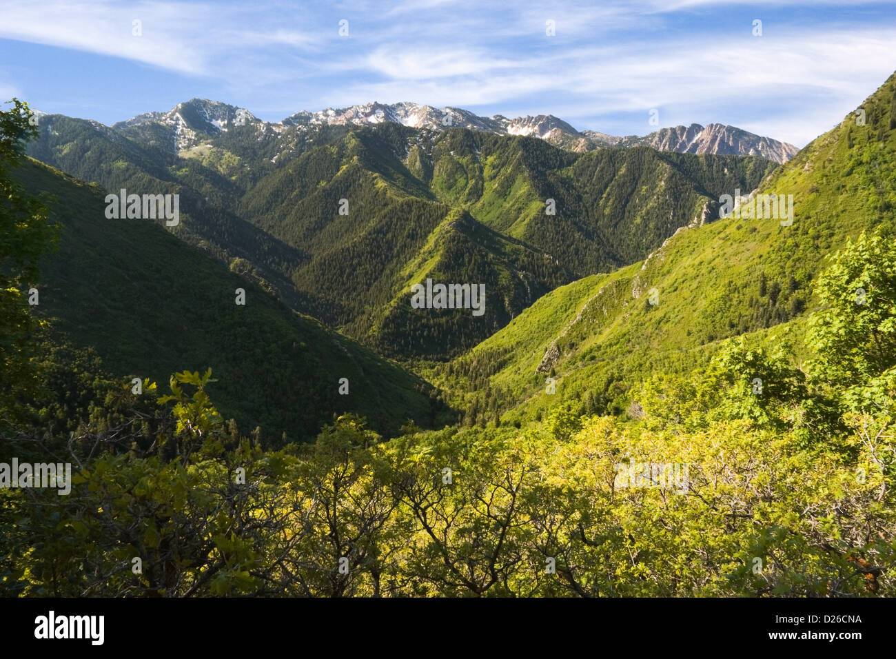 Wasatch Mountains, Utah Stock Photo - Alamy