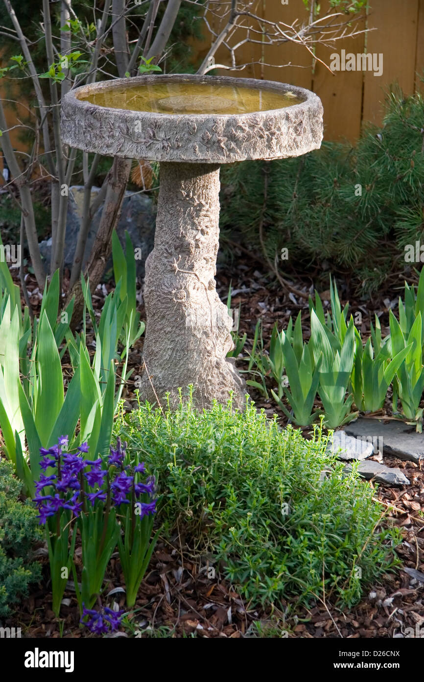 Flowers garden bird bath hi-res stock photography and images - Alamy