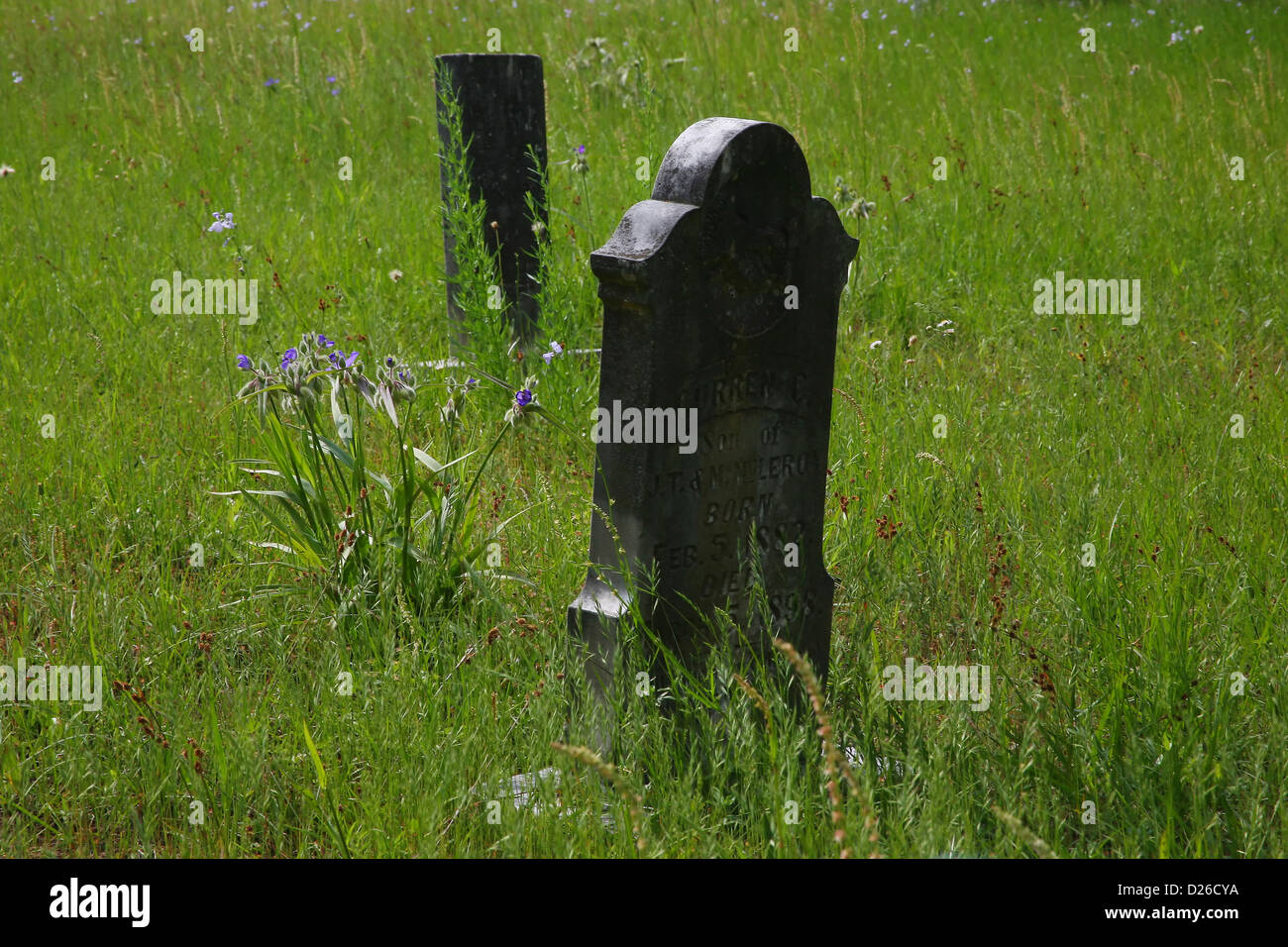 Old dark gravestones in cemetery Stock Photo - Alamy