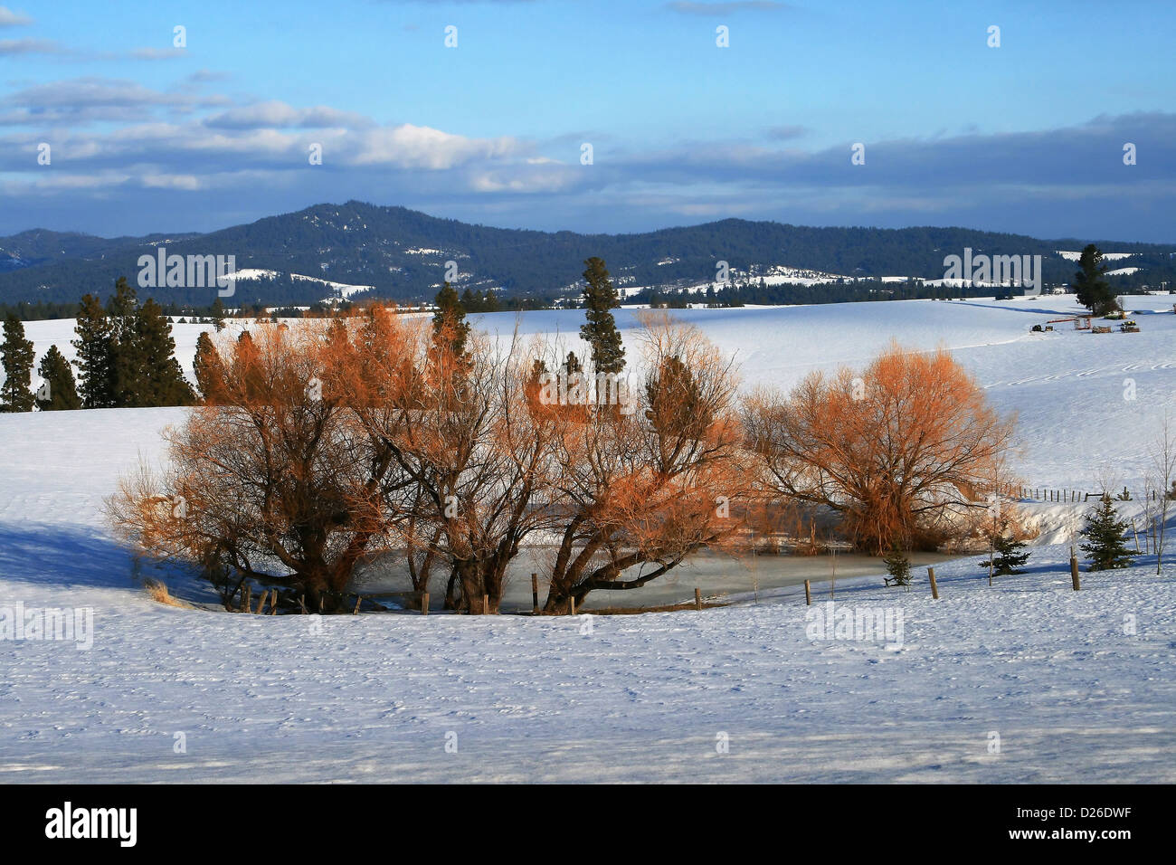 Frozen farm pond rural scenic Stock Photo - Alamy