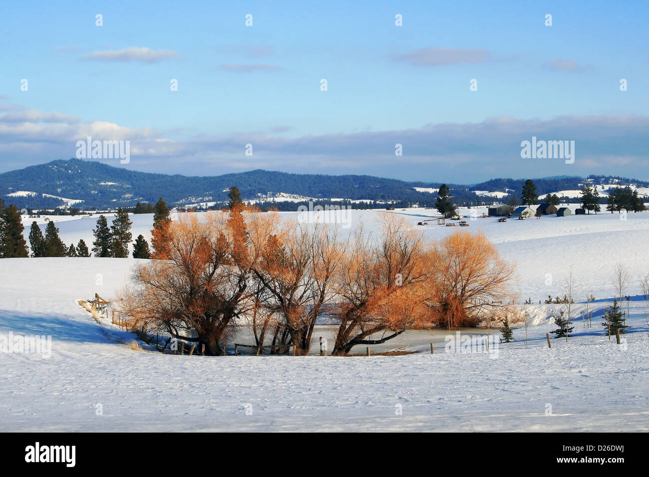 Frozen farm pond rural scenic Stock Photo - Alamy