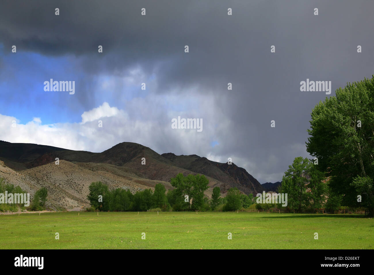 Thunderstorm spring hi-res stock photography and images - Alamy