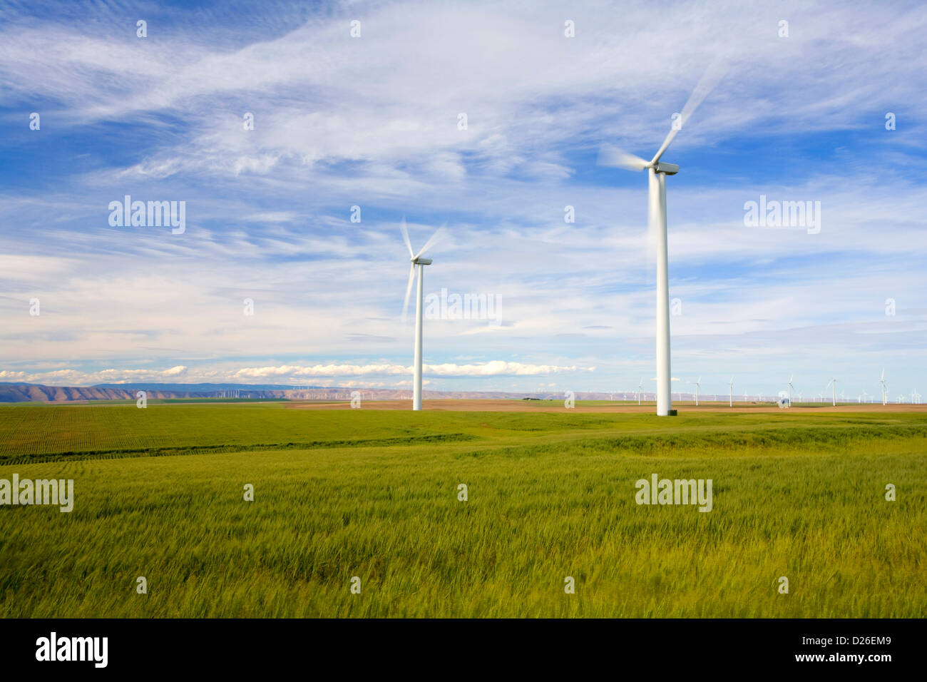 Wind power windmills oregon wheat fields plateau landscape hi-res stock ...
