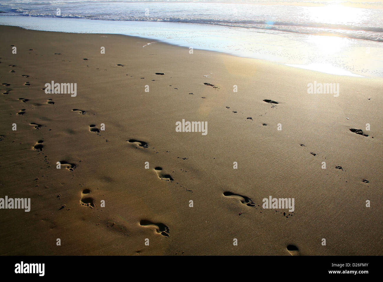 Footprints in sand on ocean beach Stock Photo - Alamy