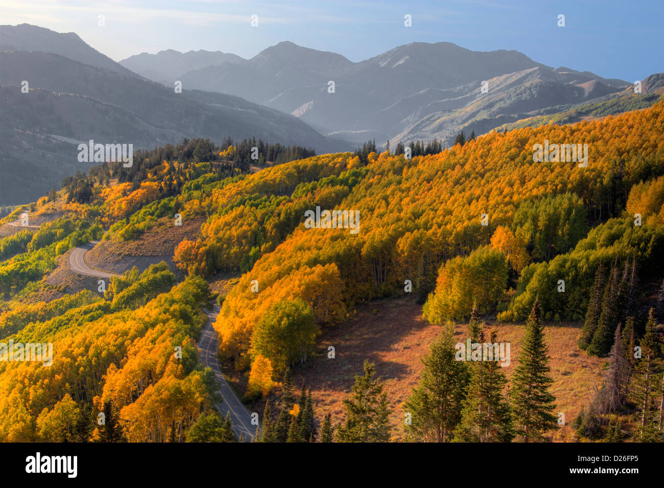 Country lane in brilliant autumn hi-res stock photography and images ...