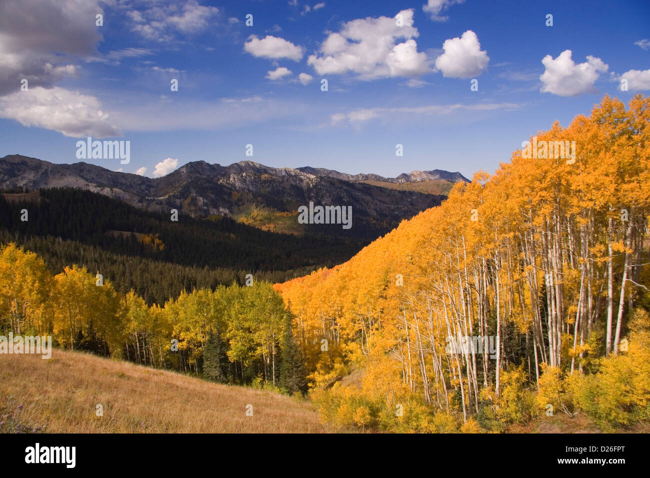 Wasatch mountains hi-res stock photography and images - Alamy