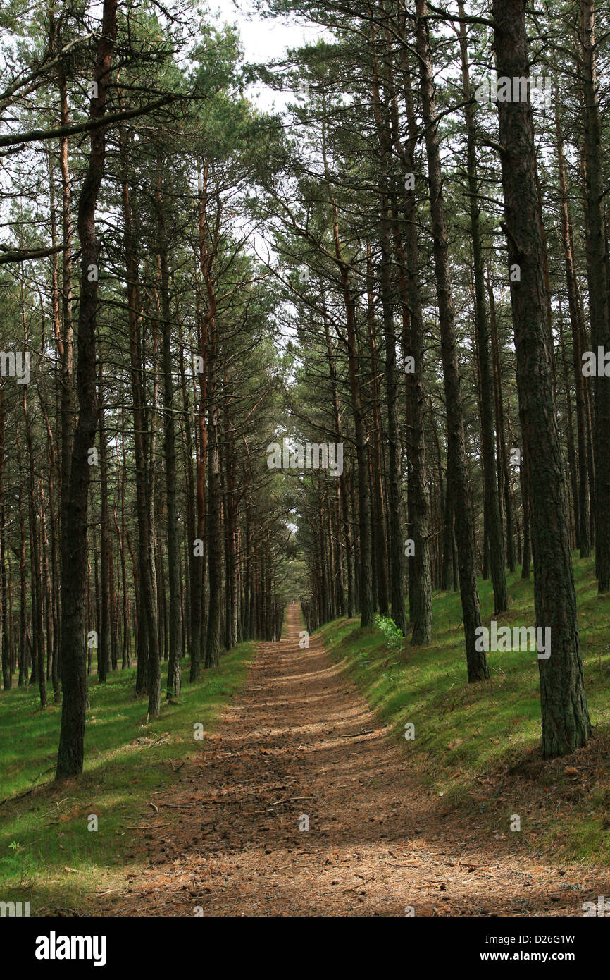 Curonian peninsula hi-res stock photography and images - Alamy