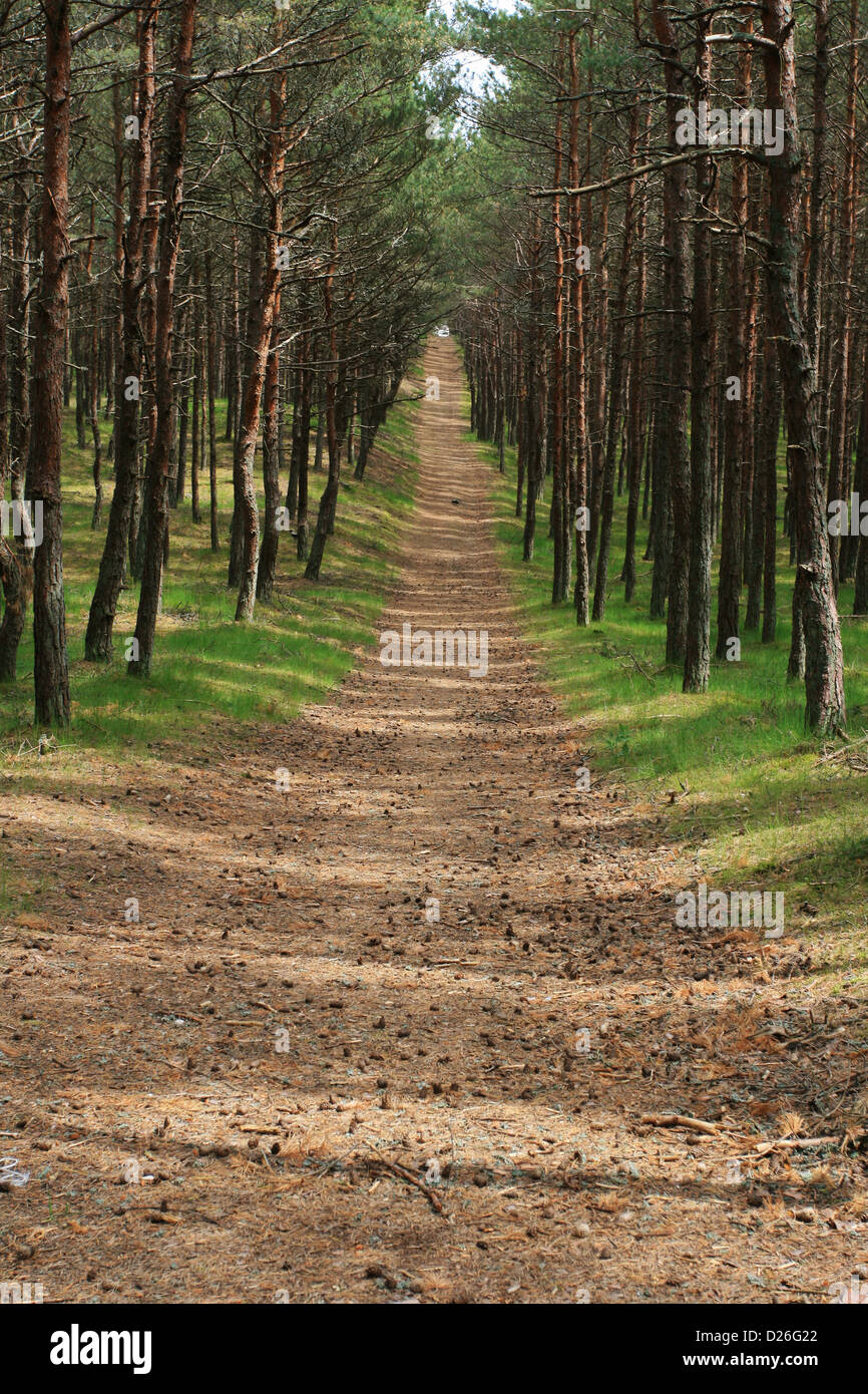 Curonian peninsula hi-res stock photography and images - Alamy