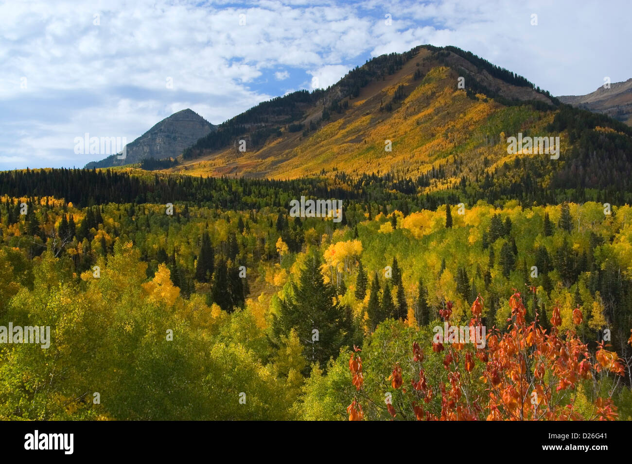 Mt timpanogos and utah lake hi-res stock photography and images - Alamy